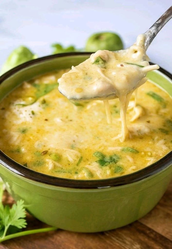 crock pot green enchilada chiken soup – All Recipes
